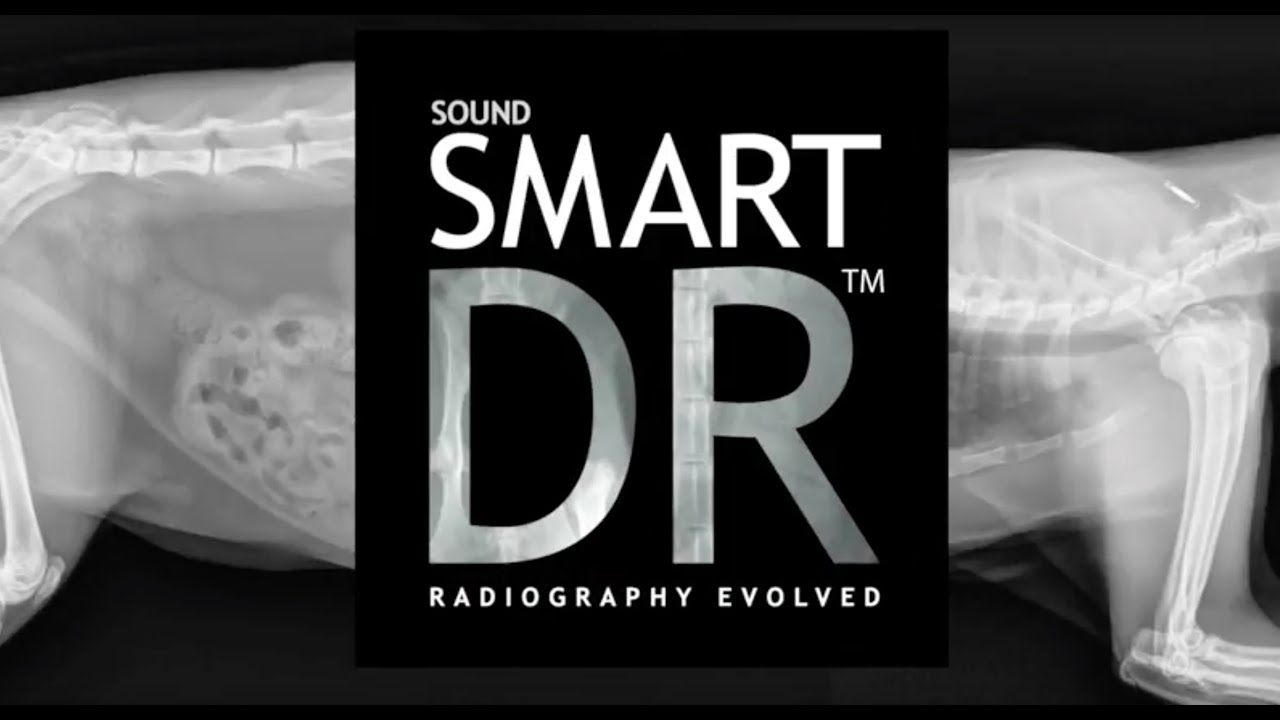 Sound Smart DR Digital Radiography System
