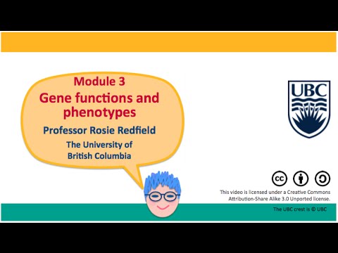 3G - Proteins that regulate transcription