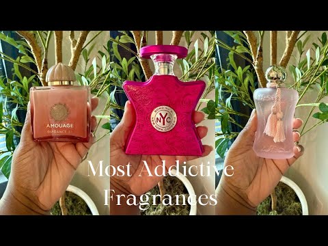 Most Addictive Fragrances Right Now | Fragrance Favorites | 6/15/2025