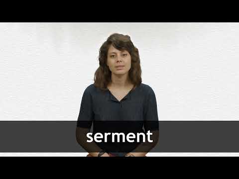 English Translation of “SERMENT” | Collins French-English Dictionary