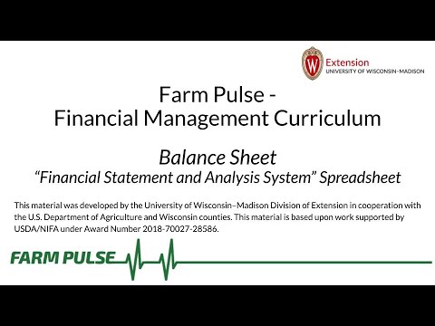 Financial Statement and Analysis System Balance Sheet