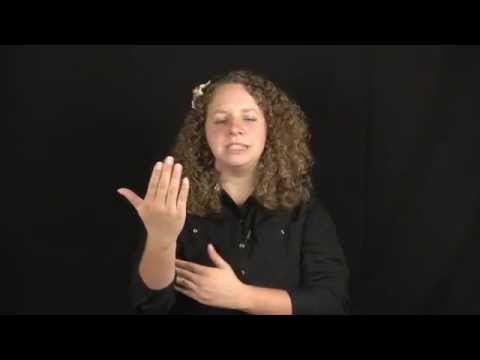 Barron's ASL The E-Z Way Vocabulary: Chapter 5 *