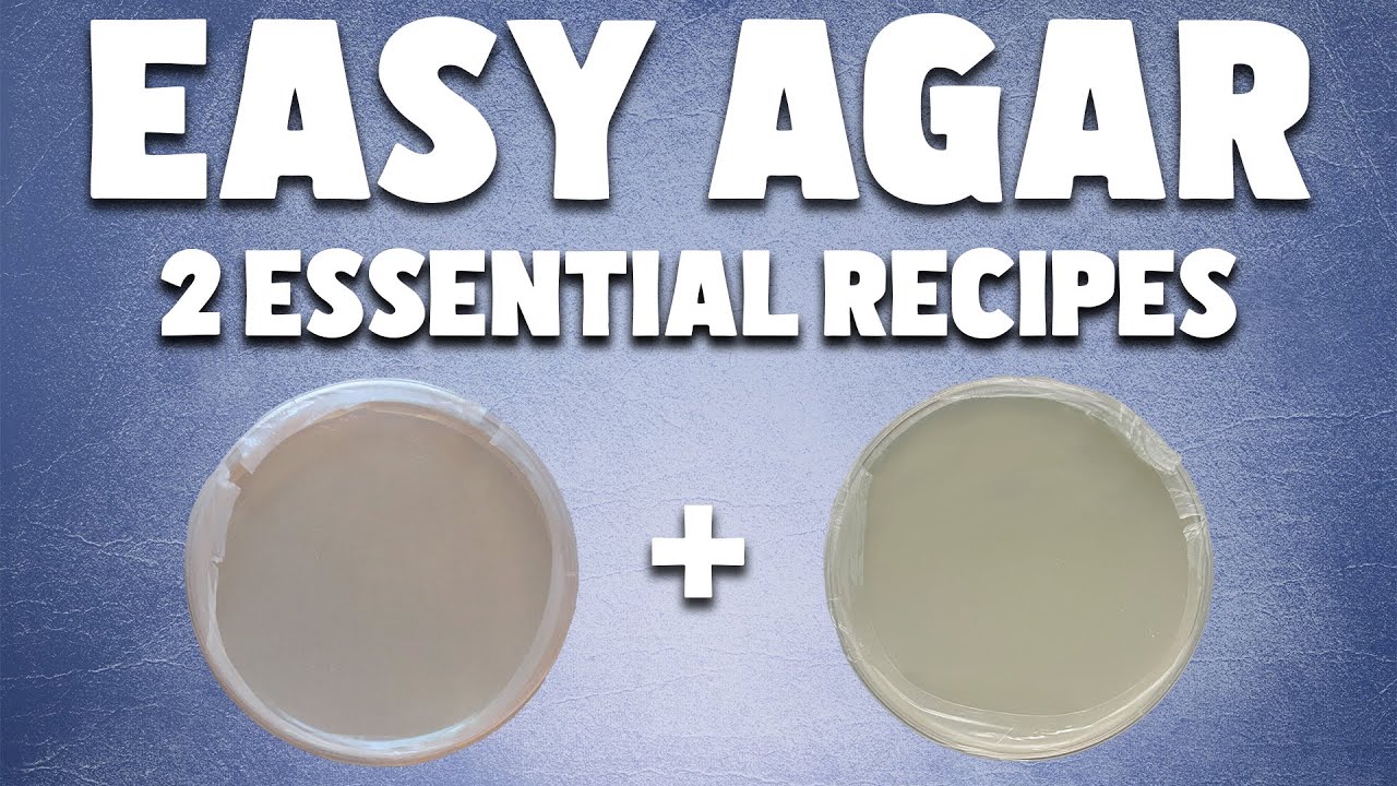 How to Make Agar Plates for Mushroom Mycelium | 2 ESSENTIAL Agar Recipes for Mycology