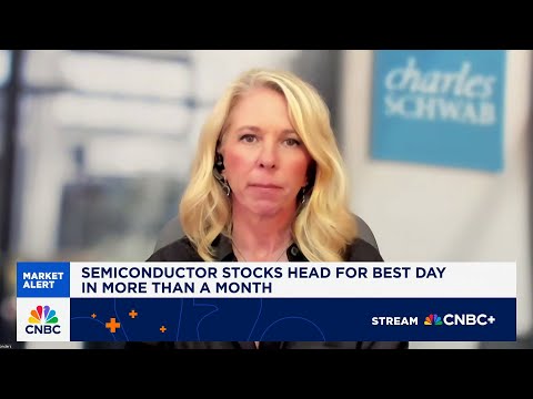 Schwab's Liz Ann Sonders: Stocks that have been working will continue to work