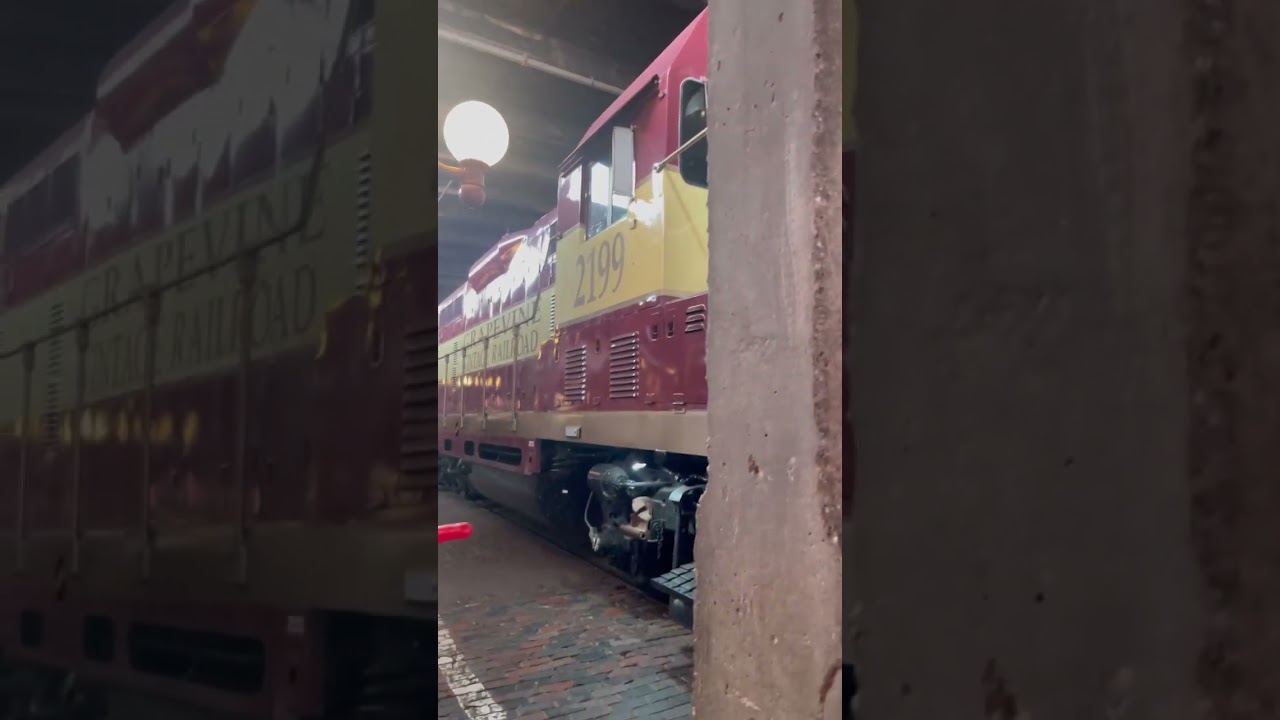 At the Fort Worth Stock Yards