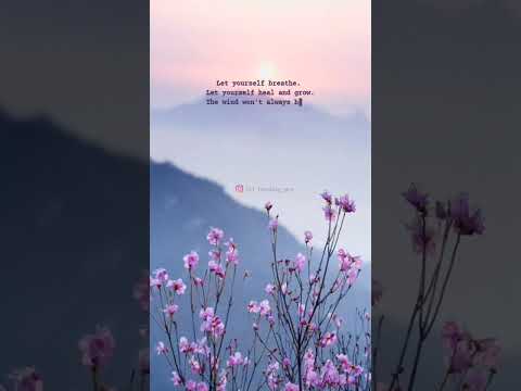 Allow yourself to heal | Life Quotes and Sayings