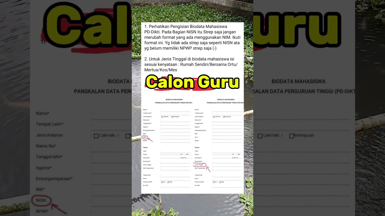 Pengisian NISN dan Jenis Tinggal pada Biodata PD DIKTI Lapor Diri PPG Guru Tertentu 2025