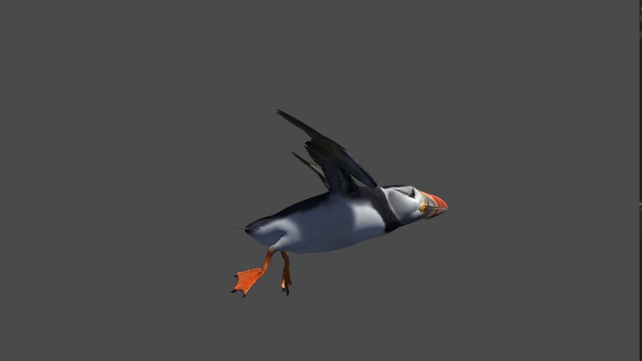 Puffin Unity