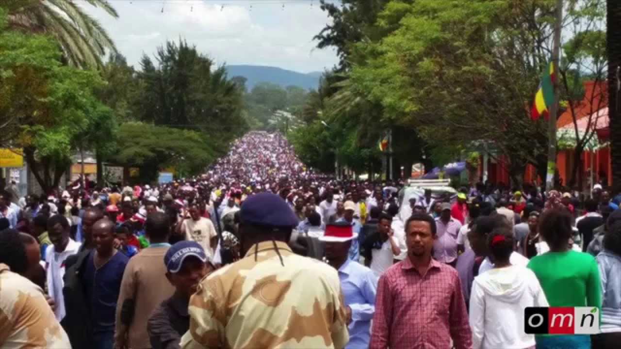 OMN: Oduu Onkololeessa 5, 2014