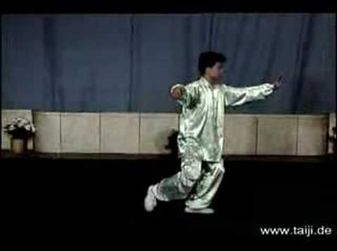 Yang 40 Form | Seattle Silver Dragon Tai Chi