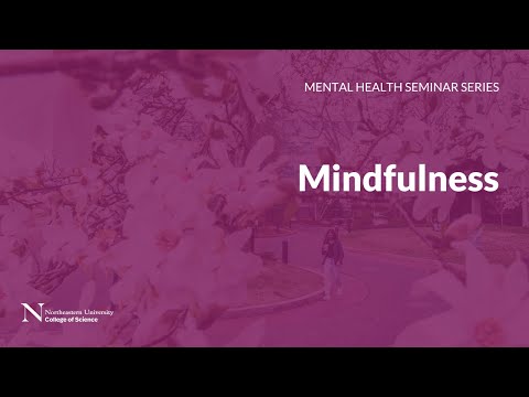 Mental Health Seminar Series: Mindfulness