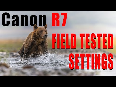 Canon R7: Settings & button layout (wildlife photography) (5137C002)