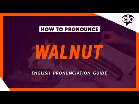 How To Pronounce Walnut | Definition and Pronunciation (Human Voice)