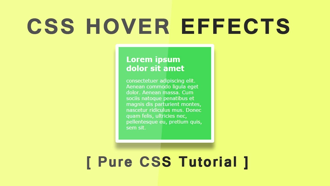 Css Div Hover Effect Tutorial - html5 Css3 Hover Effect - Pure CSS Tutorials