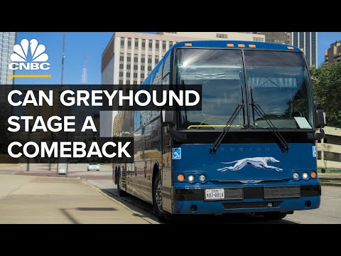 How Greyhound Became The Largest Bus Service In The U.S.