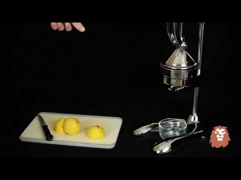 Winco JC-19 Heavy Duty Manual Citrus Juice Squeezer - LionsDeal