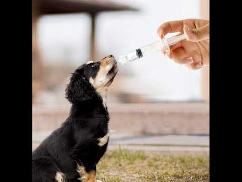 Right Angle Pharmapack - Manufacturer of Child Resistant Cap & Oral ...