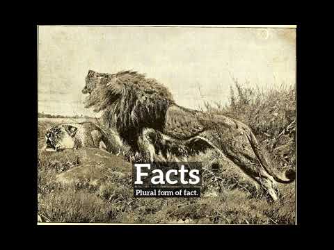 What is Facts? | How Does Facts Look? | How to Say Facts in English?