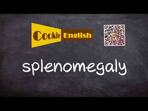 Splenomegaly Pronunciation, Paraphrase, Listen & Practice