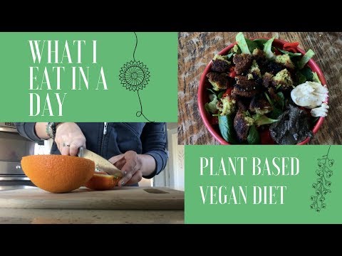 WHAT I EAT IN A DAY | PLANT BASED VEGAN DIET | ADVENTURES WITH SOPH