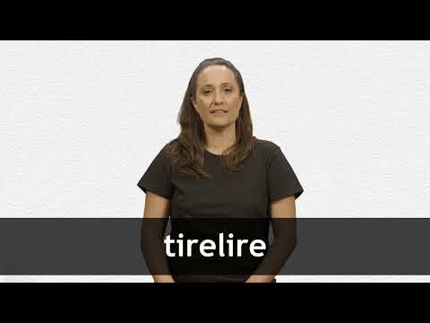English Translation of “TIRELIRE” | Collins French-English Dictionary