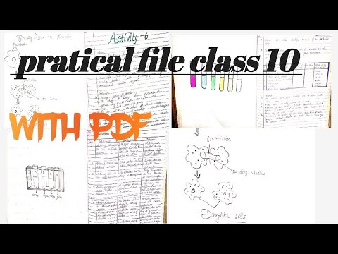 Pratical file CBSE class 10th | lab manual|CBSE | #pratical #labmanual