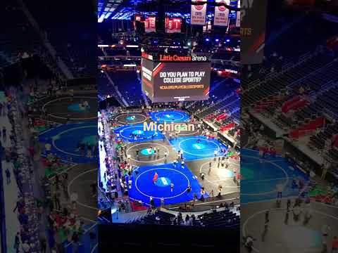 Michigan vs Vermont: Comparing US States π’ππΊπΈ #shorts