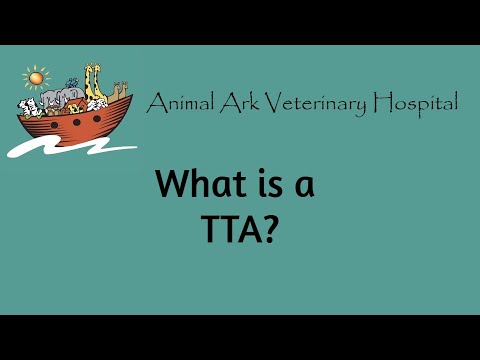 What is a TTA?