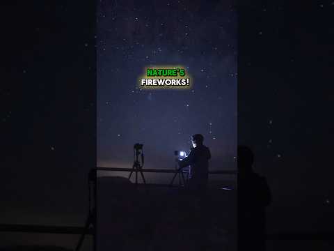 The Perseid Meteor Shower is Coming! #perseids #meteorshower #perseidmeteorshower