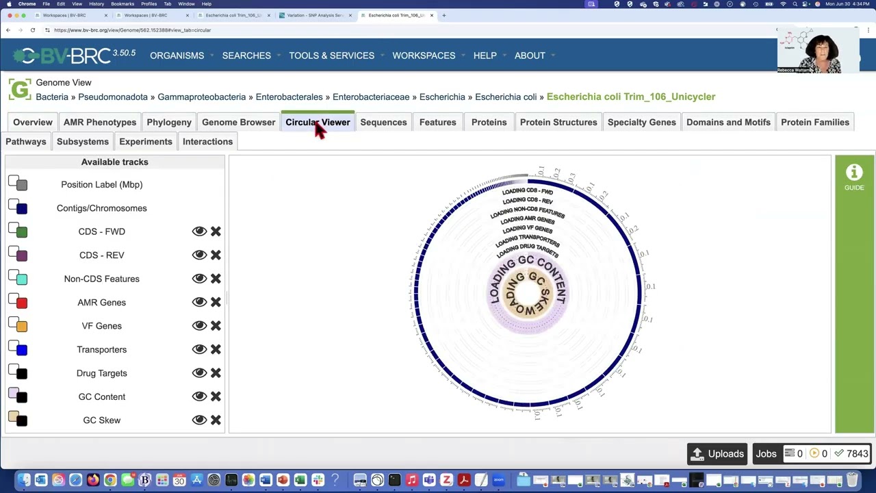 Seeing variants (snps) on the circular viewer