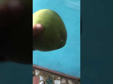 ਇਸ ਫਲ ਦਾ ਕੀ ਨਾਮ ਹੈ ? What is the name of this fruit?