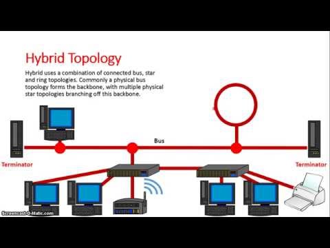 Network Topologies