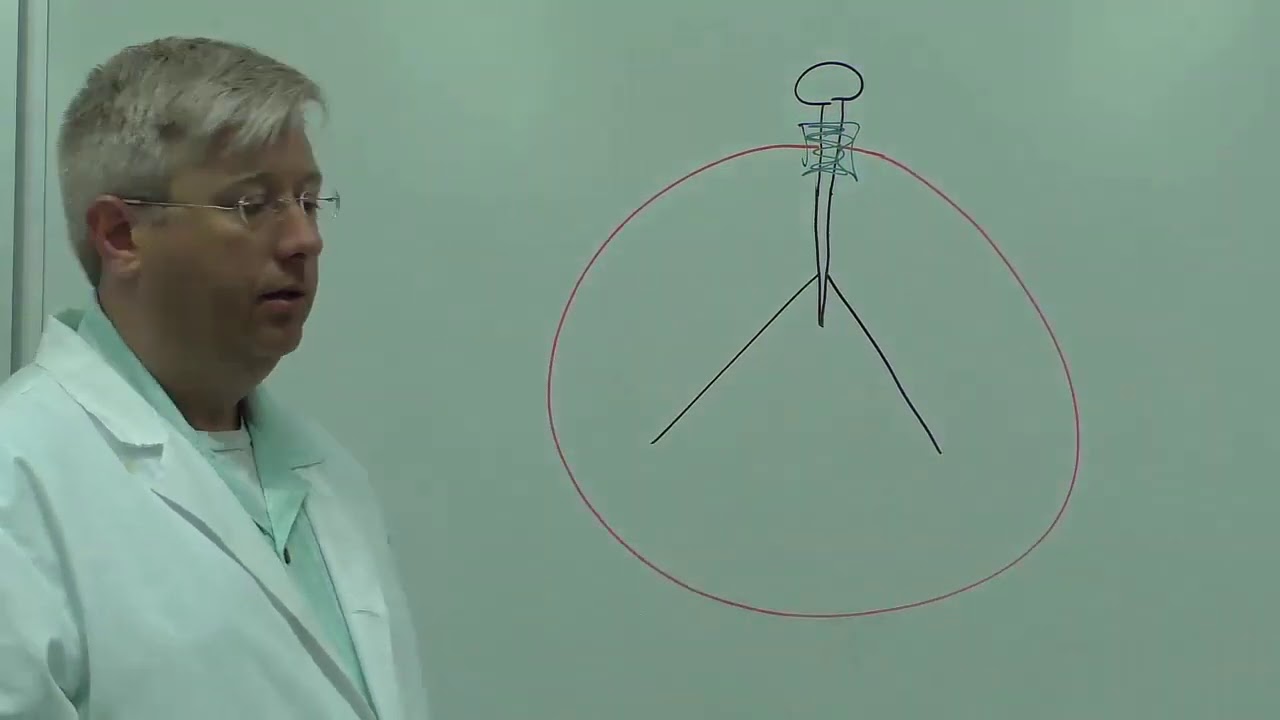 5A22.30 Gold Leaf Electroscope (Instructor video)