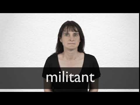 MILITANT definition and meaning | Collins English Dictionary