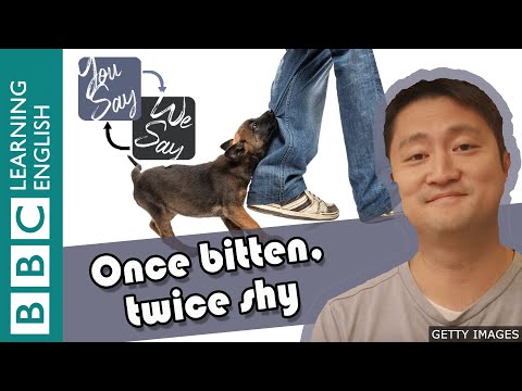 We Say - You Say: Once bitten, twice shy