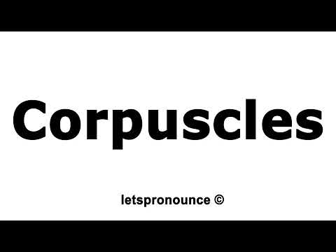 How to Pronounce Corpuscles