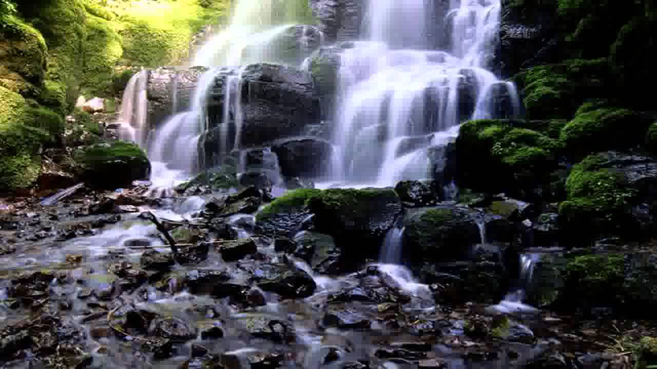 Amazing Fall Desktop Wallpaper Free