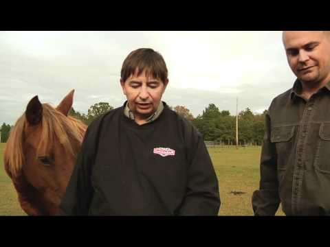 Gun Dog Broker: In The Field with Mark Fulmer with Sarahsetter Kennels,Boykin Spaniel