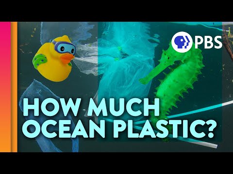 How Much Plastic is in the Ocean?