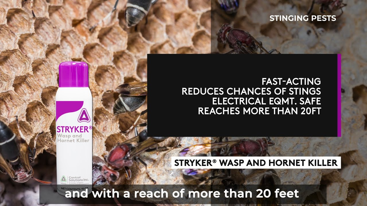 Stryker Wasp and Hornet Killer Fast Features