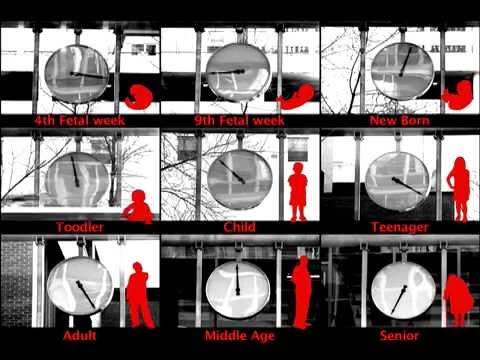 Arrival Time, Departure Time, 2010