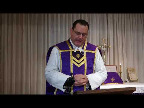 Indefectibility & Vatican II, by Rev. NicolĂĄs E. DespĂłsito