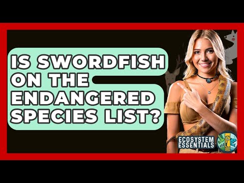 Is Swordfish On The Endangered Species List? - Ecosystem Essentials