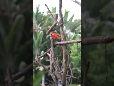 Guatemala travel