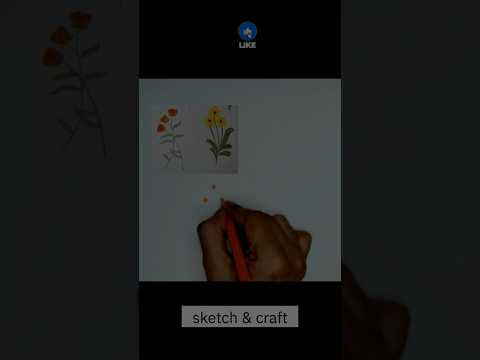 "Easy Flower Drawing for Beginners | Color Pencil Floral Sketch #Shorts#trendingshorts#flowers