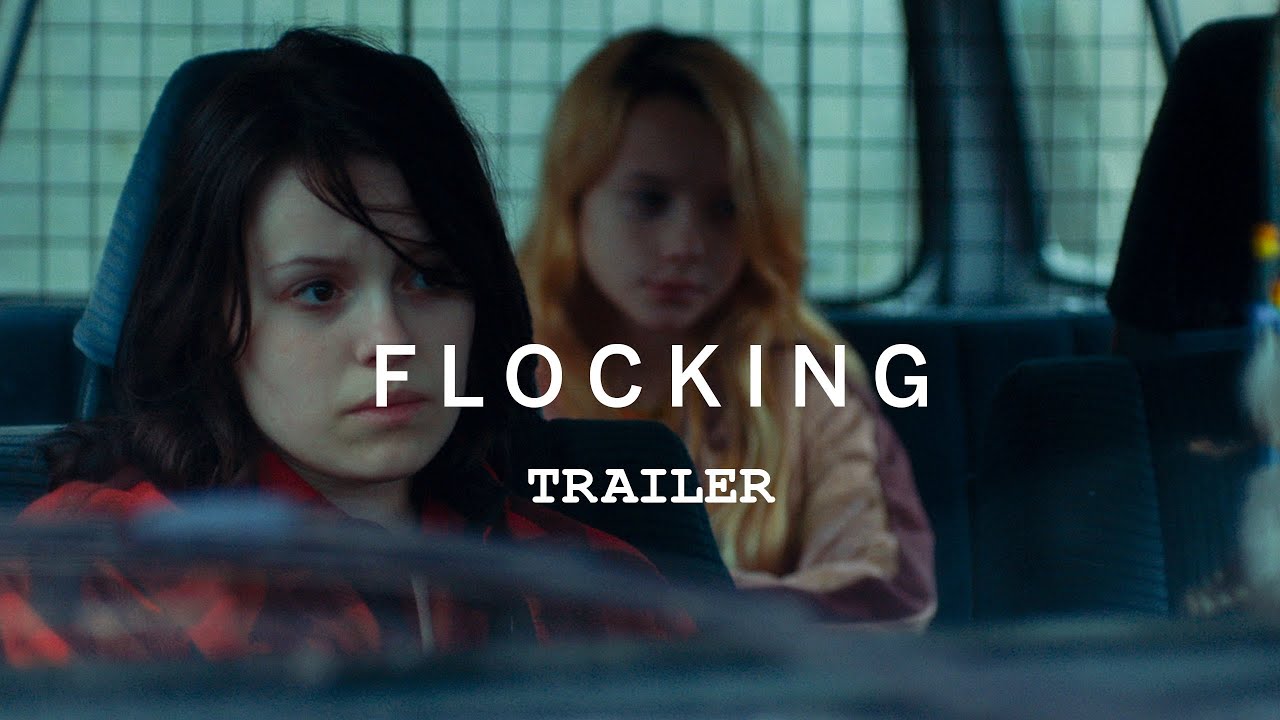 FLOCKING Trailer | TIFF Next Wave 2016