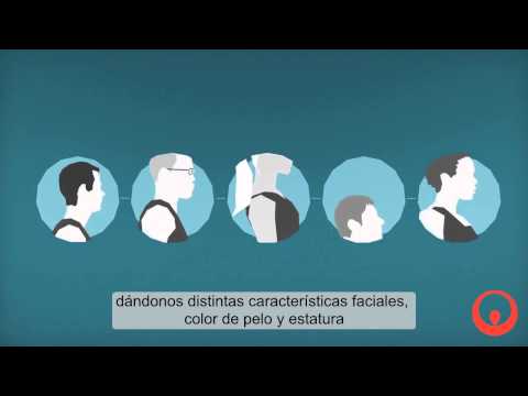 Que es el ADN - BBC