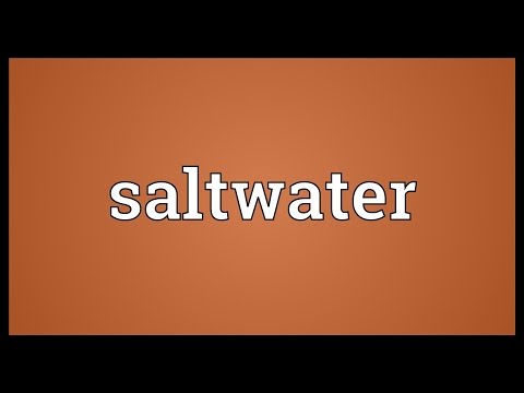 Saltwater Meaning