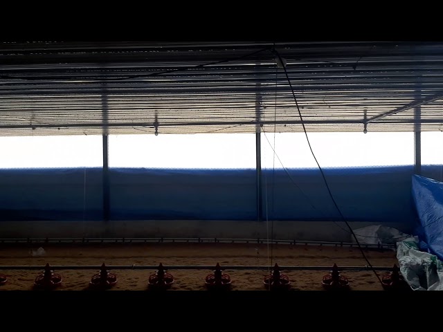 Poultry shed - Ac Poultry Farm Shed Contractors Manufacturer from Padappai