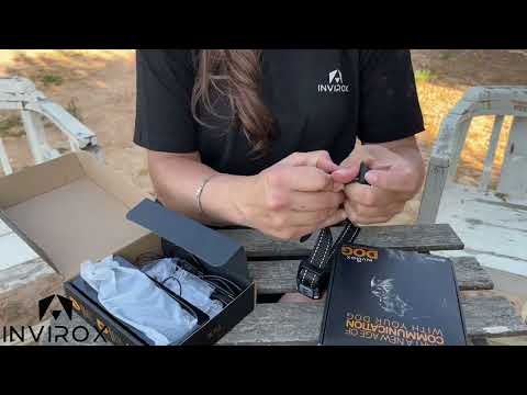 Learn How To Properly Assemble And Use The 2025 Dog Training Collar